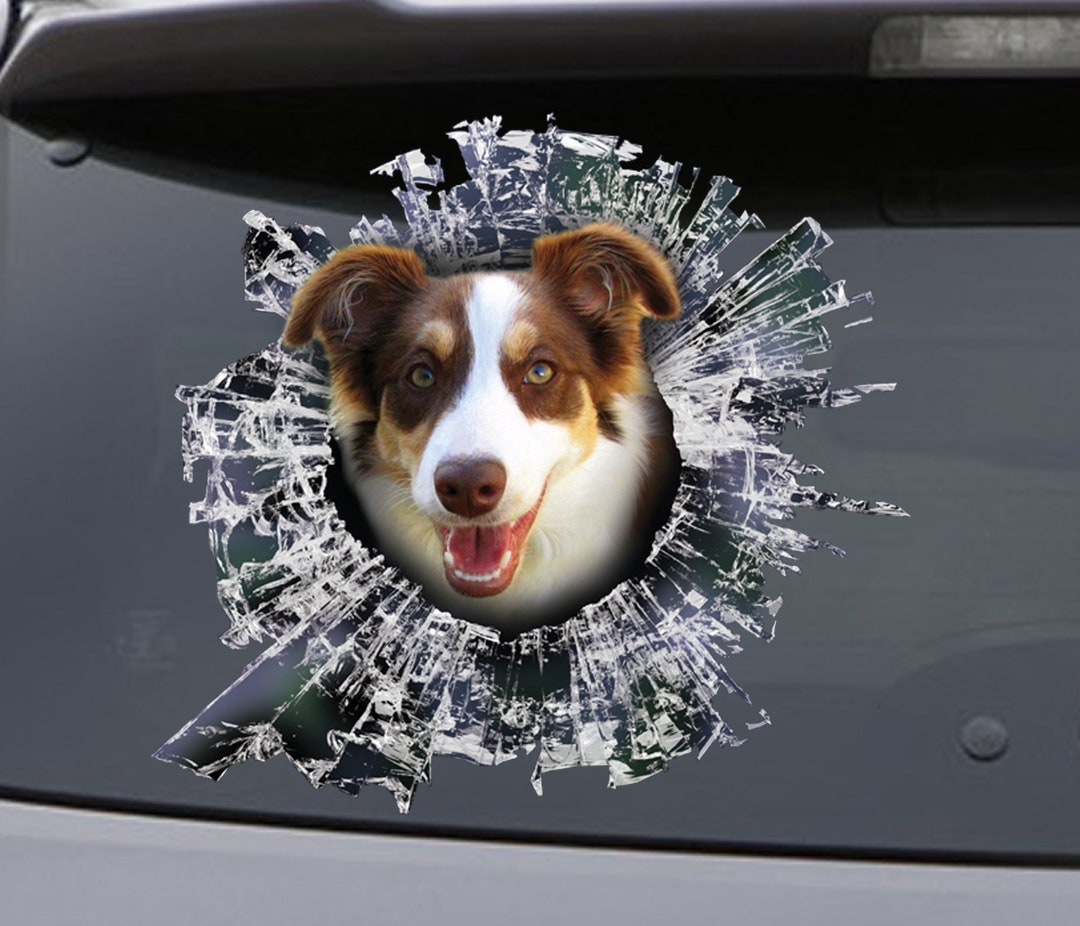 STICKER, Brown and White Border Collie Window Sticker , Dog Car Decal ...