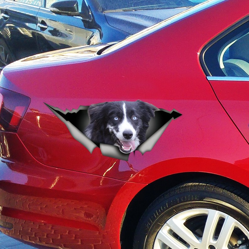 Black and white Aussie car decal Aussie magnet Aussie | Etsy