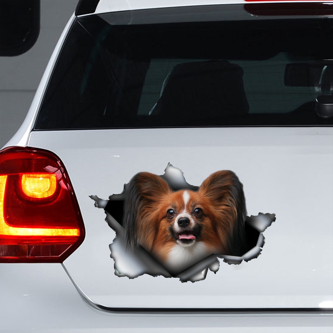 Red Papillon Decal , Red Papillon Sticker, Papillon Magnet, Papillon ...