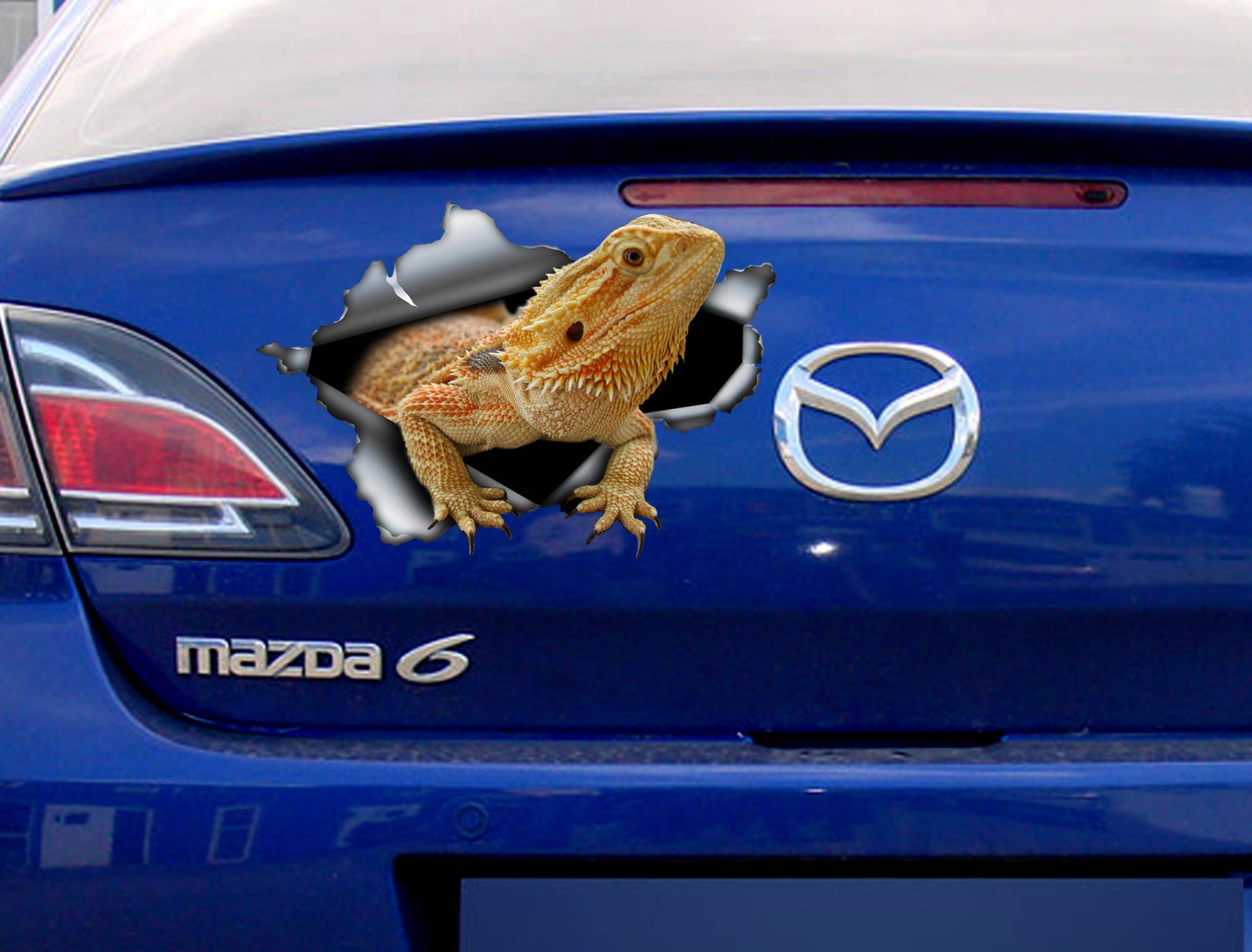 Bearded Dragon Car Decal, Bearded Dragon Magnet, Bearded Dragon Car ...