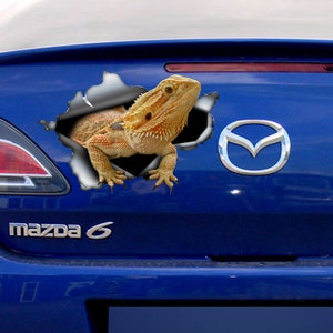Bearded Dragon Car Decal, Bearded Dragon Magnet, Bearded Dragon Car ...