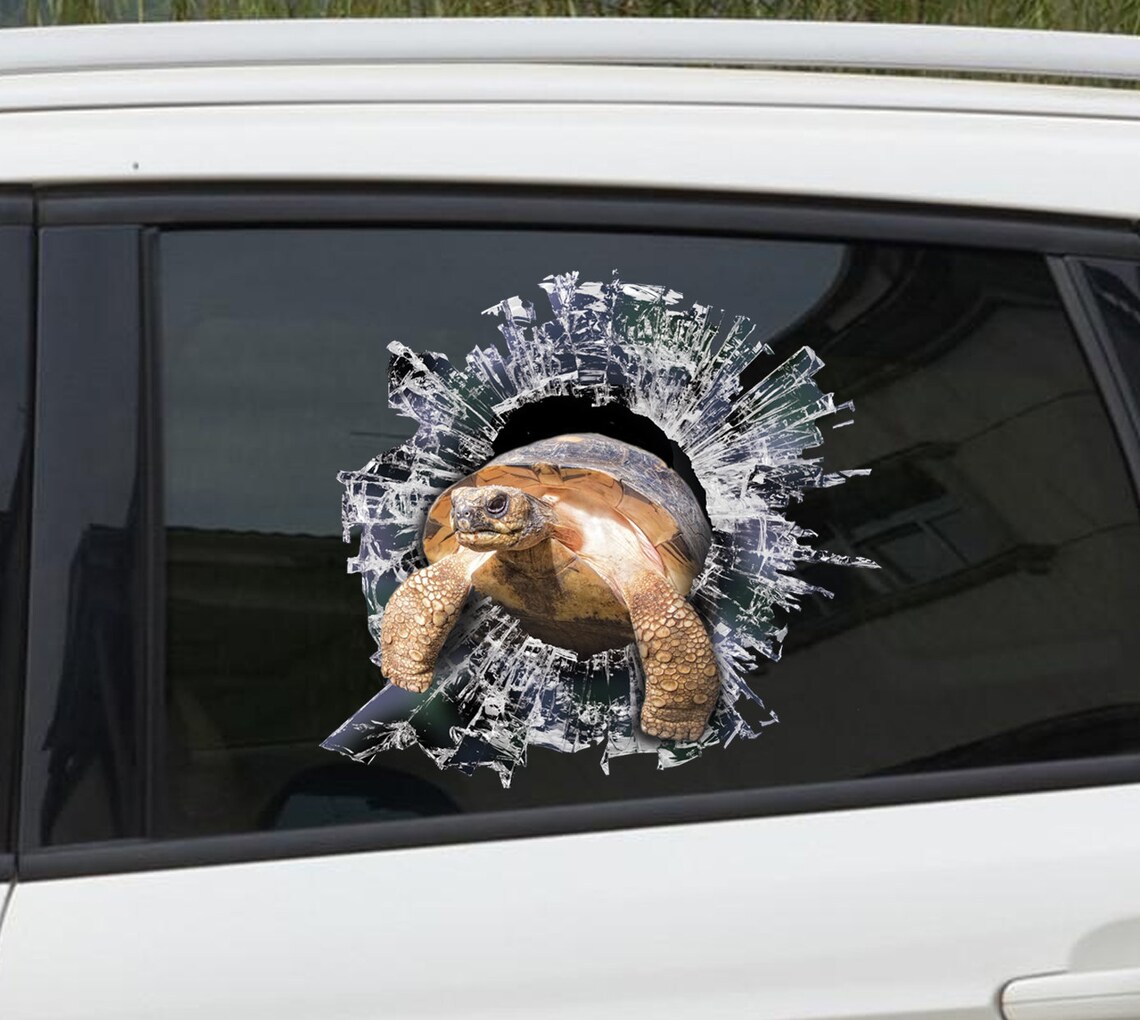 Giant Tortoise Window Decal , Car Sticker, Tortoise Car Sticker - Etsy