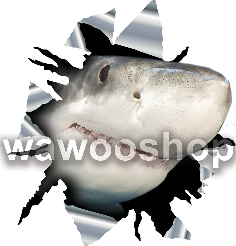 Shark Car Sticker 3d Decal Funny Sticker - Etsy