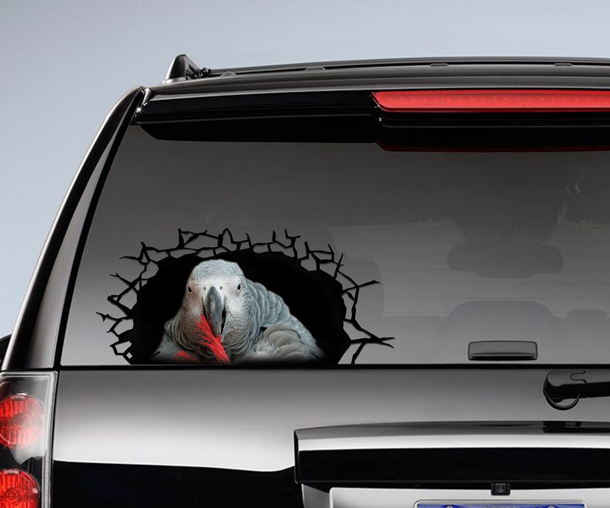 African Grey 3D Sticker Cracked Window Decal African Grey - Etsy