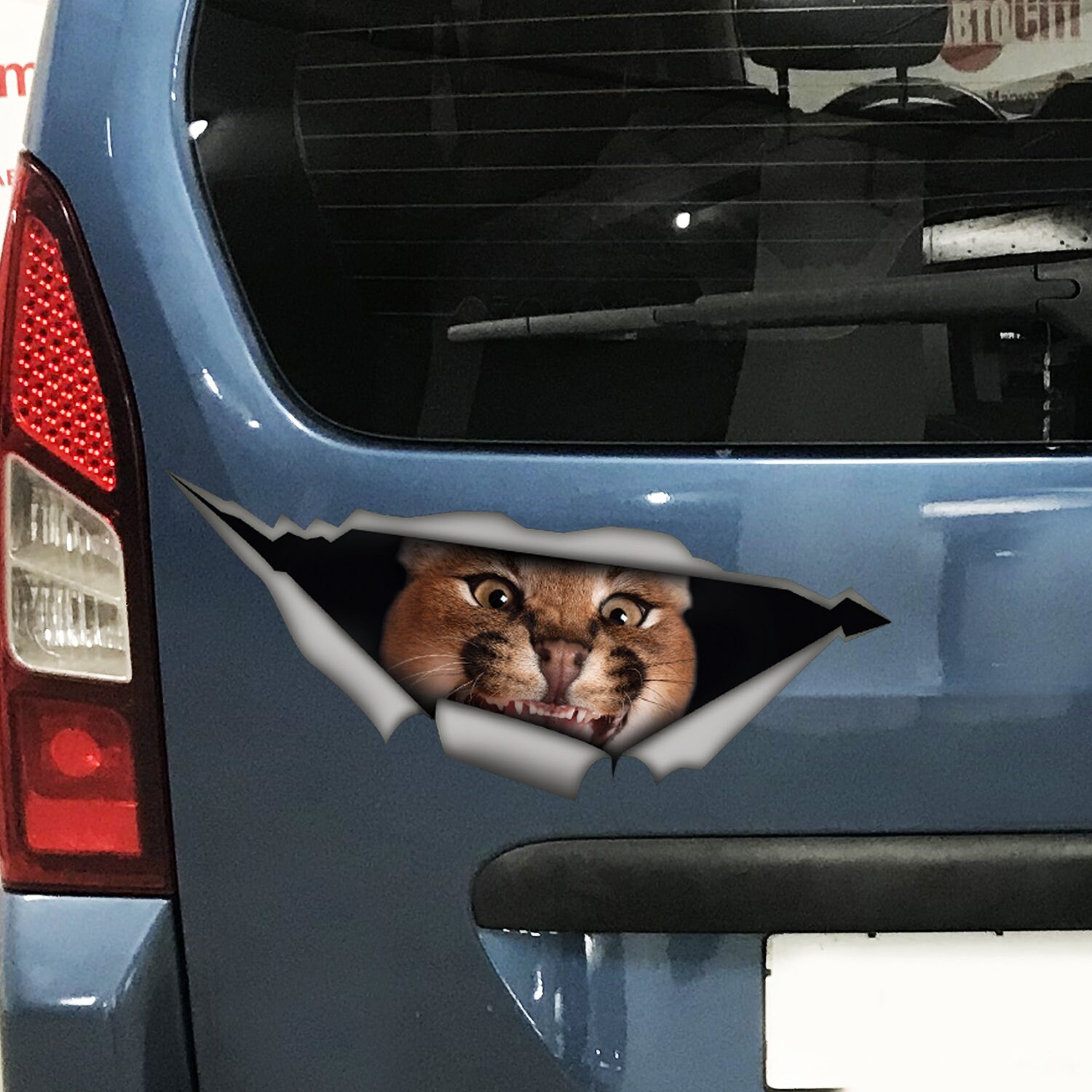 Caracal Car Sticker Caracal Car Decal Caracal Magnet - Etsy