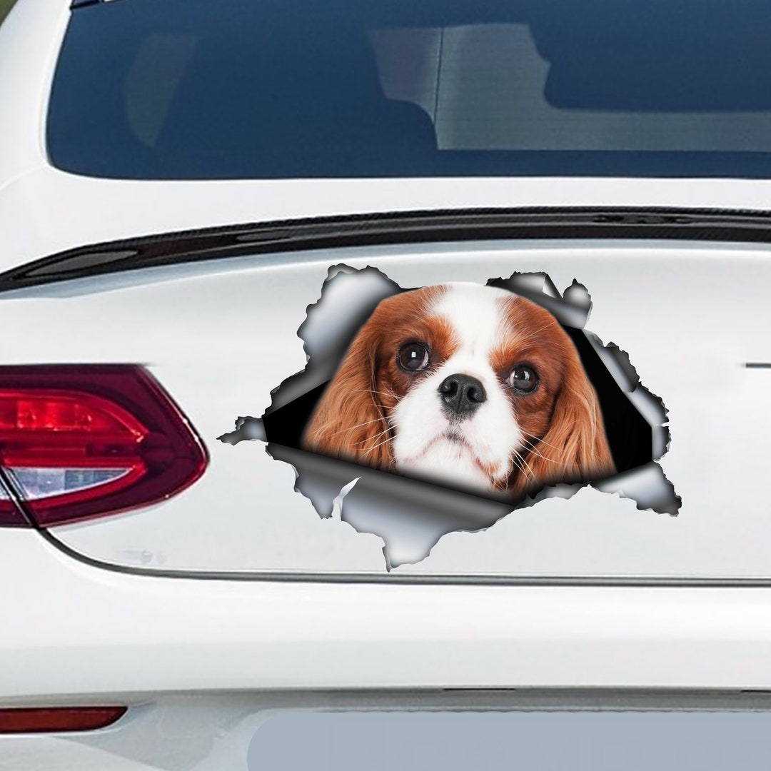 Red Cavalier King Car Decal, Red Cavalier King Magnet, Cavalier King ...