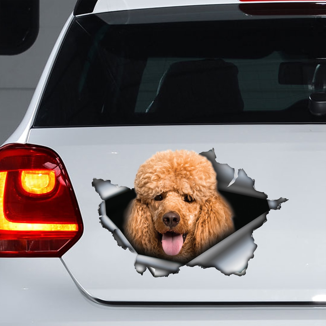 Red Poodle Decal , Poodle Magnet, Red Poodle Sticker, Poodle Car Decal ...