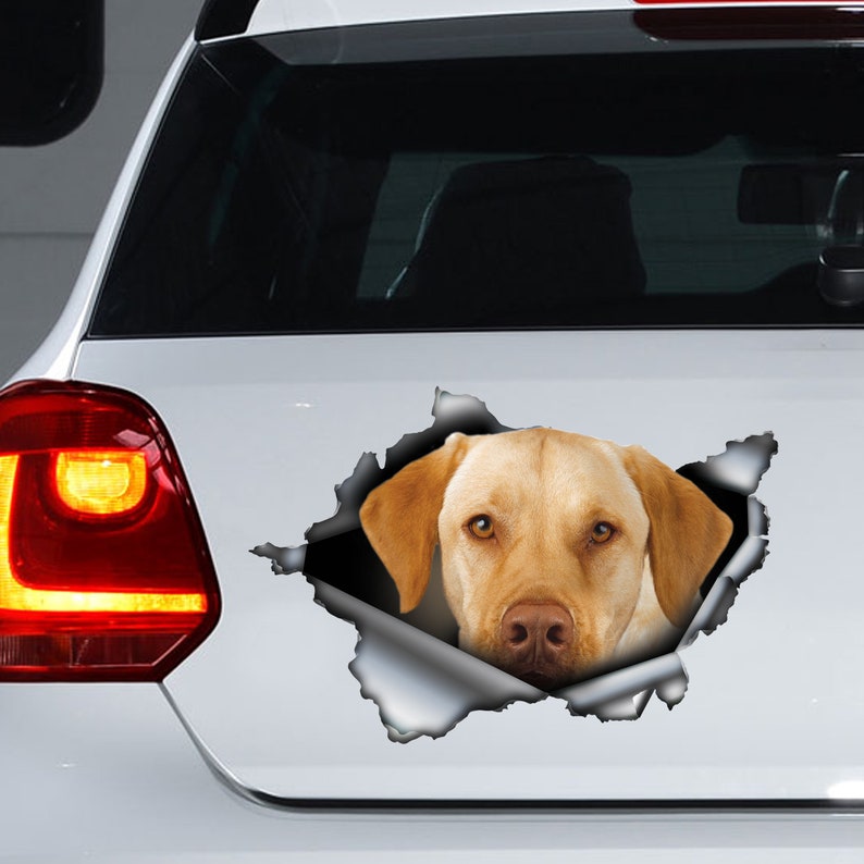 Yellow lab car decal labrador magnet labrador car sticker | Etsy