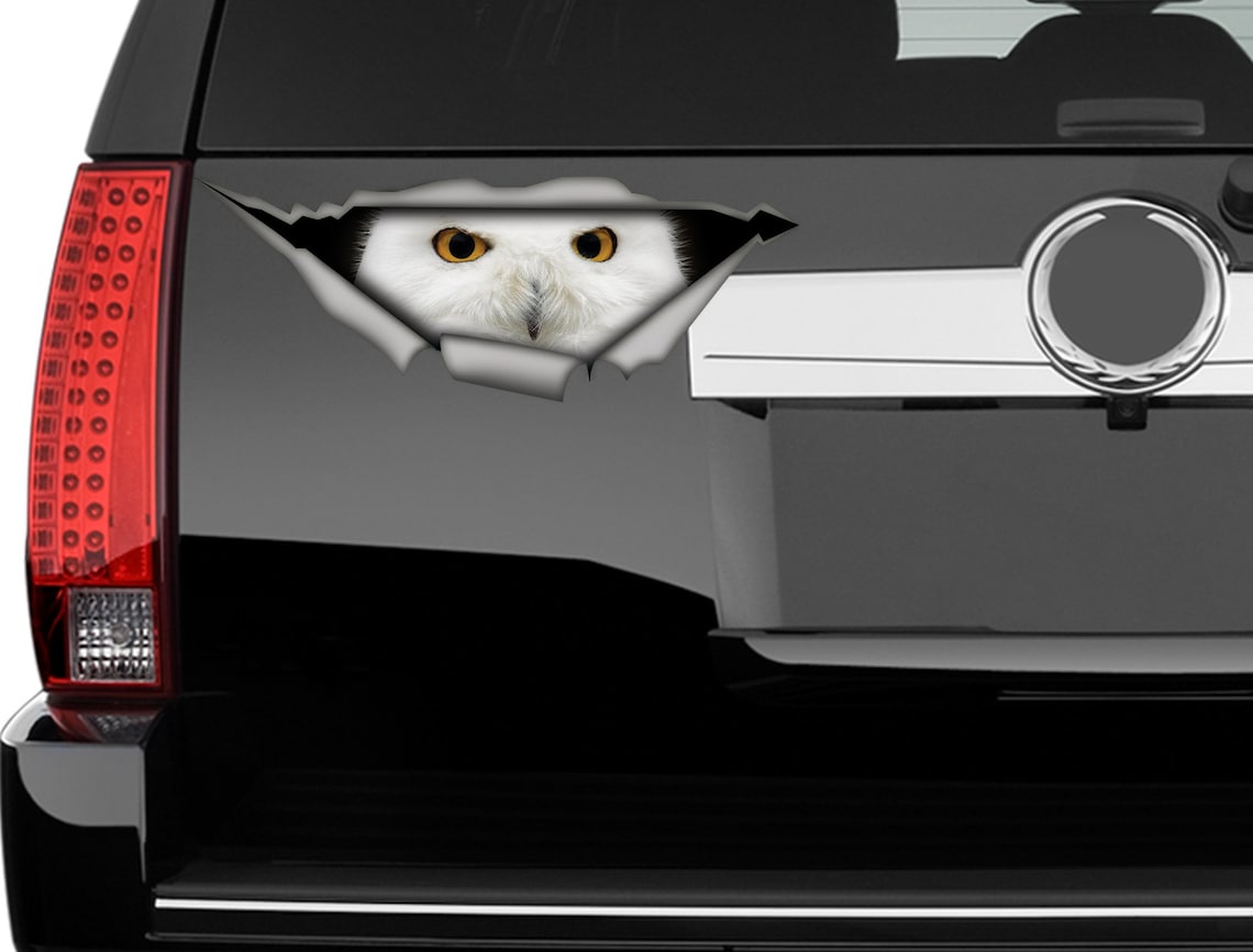 White Owl Sticker Owl Car Decal Car Decoration Owl Decal - Etsy
