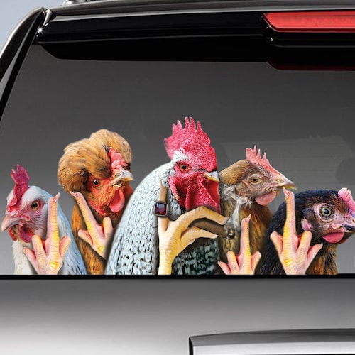 Funny Chickens Window Decal Chicken Car Sticker Funny - Etsy
