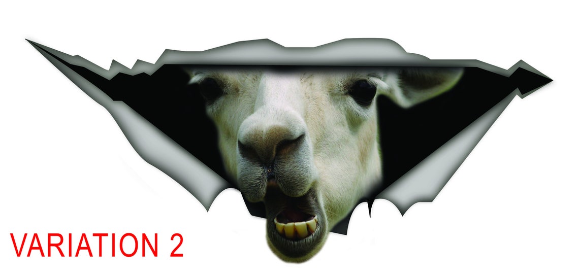 DECAL Lama Car Decal Lama Sticker 3D Decal - Etsy