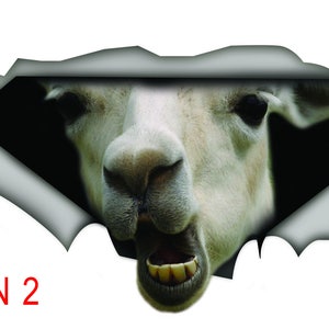 DECAL, Lama Car Decal, Lama Sticker, 3D Decal - Etsy