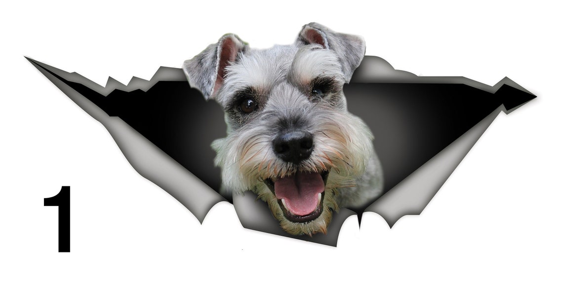 Schnauzer Car Sticker , Dog Car Decal, Schnauzer Decal, Car Decoration ...