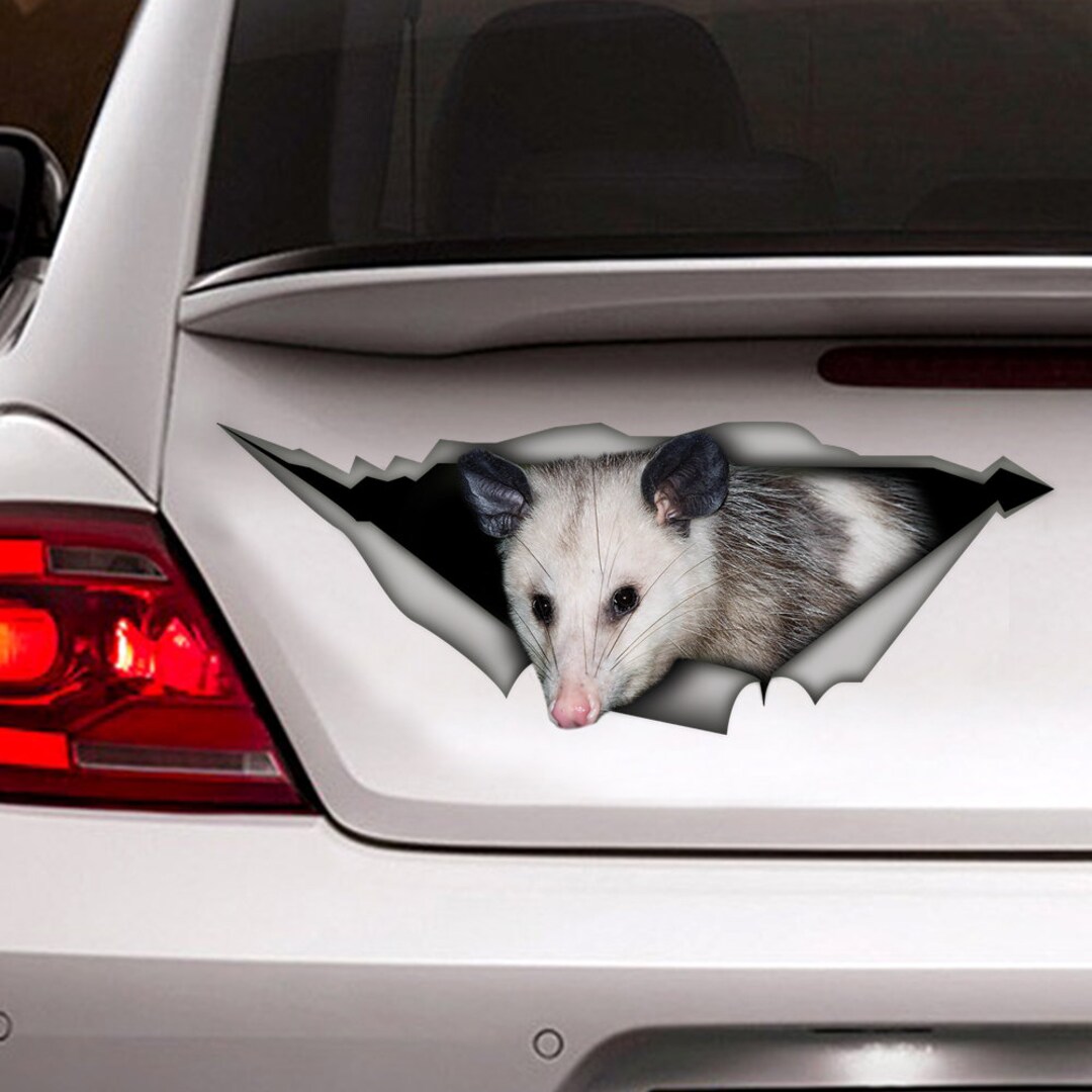 Opossum Sticker , Opossum Magnet , Car Decal, Opossum Decal, Opossum ...