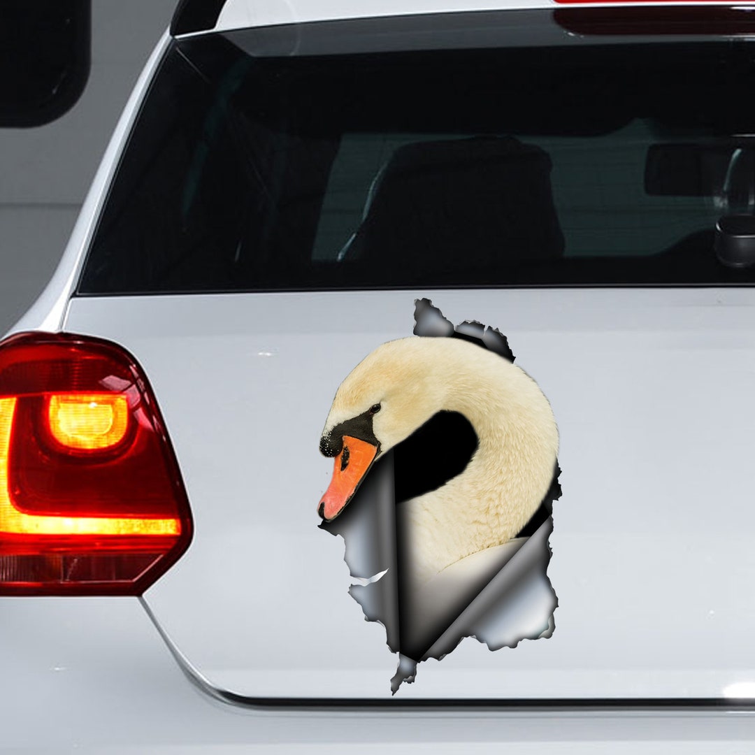 White Swan Car Decal , Swan Magnet, Swan Sticker - Etsy