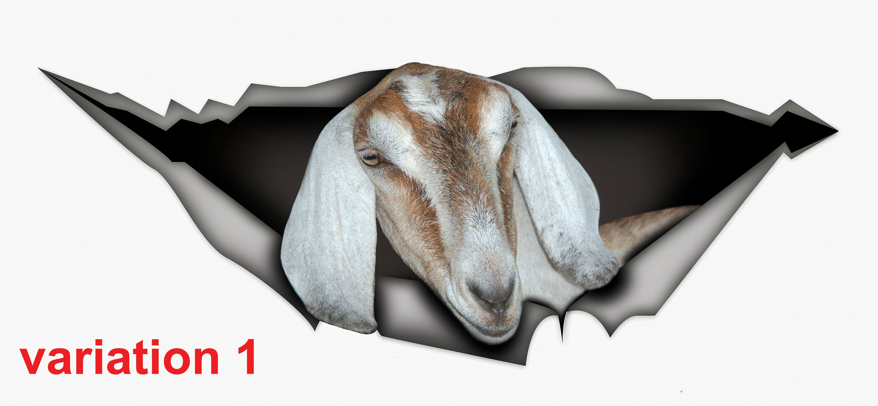 Nubian Goat Car Decal Farm Decal Goat Sticker Funny Decal - Etsy Canada