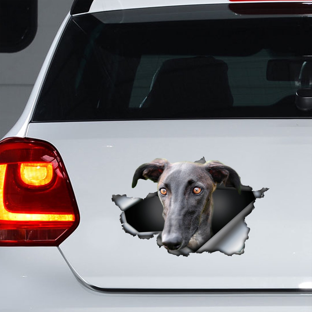 Galgo Car Decal, Galgo Magnet, Galgo Car Sticker, Galgo Fridge Magnet ...