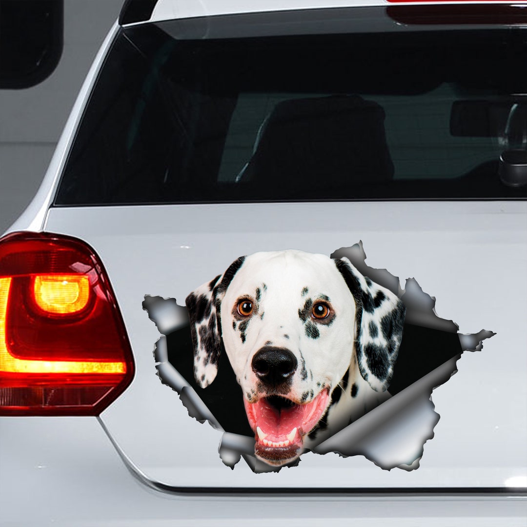 Dalmatian Dog Decal Dalmatian Magnet Dalmatian Sticker - Etsy