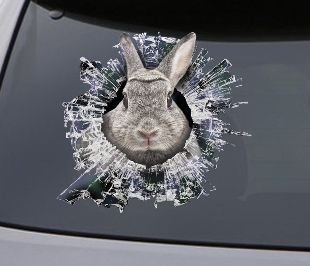 STICKER, Rabbit Window Sticker, Car Sticker, Rabbit Car Decal - Etsy