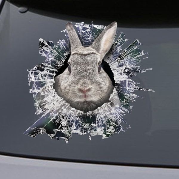Rabbit Car Accessories - Etsy