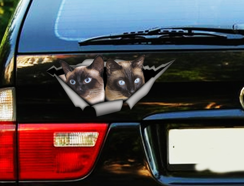 Siamese Cat Magnet Siamese Cat Car Decal Cat Car Sticker - Etsy