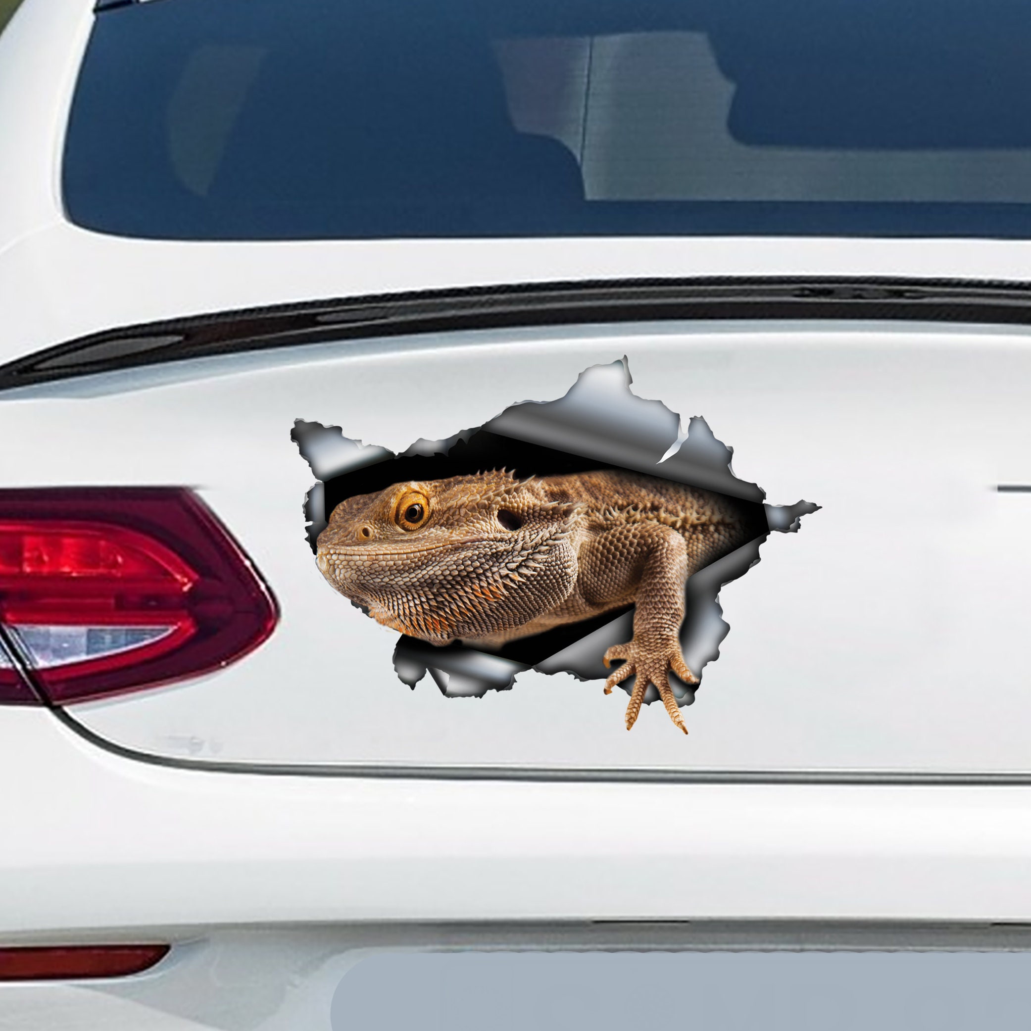 Grey Bearded Dragon Car Decal Beardie Magnet Gray Beardie - Etsy