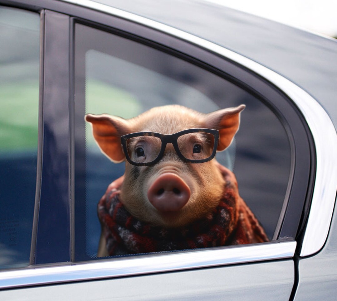 Funny Pig Decal, Pig Magnet, Pig Sticker, Pig Art - Etsy