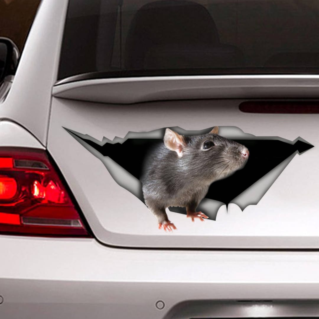 Rat Decal, Car Decal, Vinyl Decal, Car Decoration, Animal Decal, Pet ...