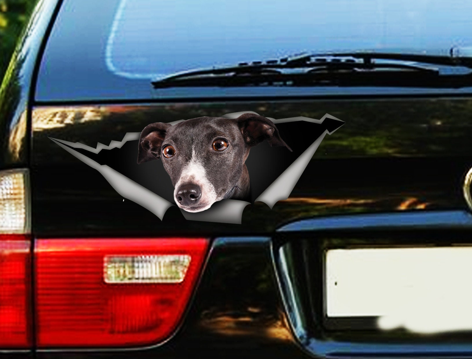 Greyhound Car Decal, Greyhound Magnet, Greyhound Sticker - Etsy UK