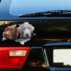 Brown and Silver Labs Car Decal, Lab Decal, Labrador Sticker, Labrador ...