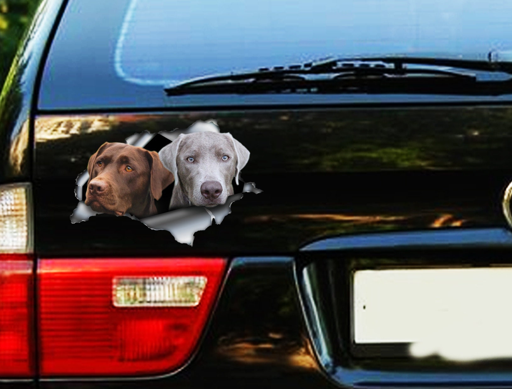 Brown and Silver Labs Car Decal, Lab Decal, Labrador Sticker, Labrador ...