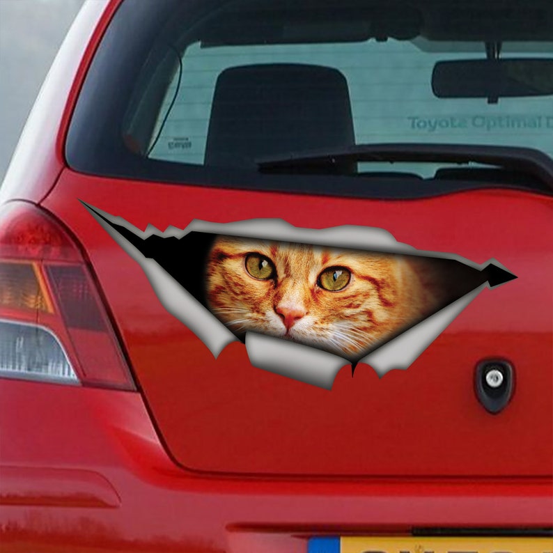 Red Cat Decal Funny Sticker Cat Car Sticker Red Cat Sticker - Etsy