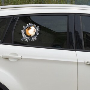 Guinea Pig Window Decal, Guinea Pig Car Sticker, Guinea Pig Car Decal ...