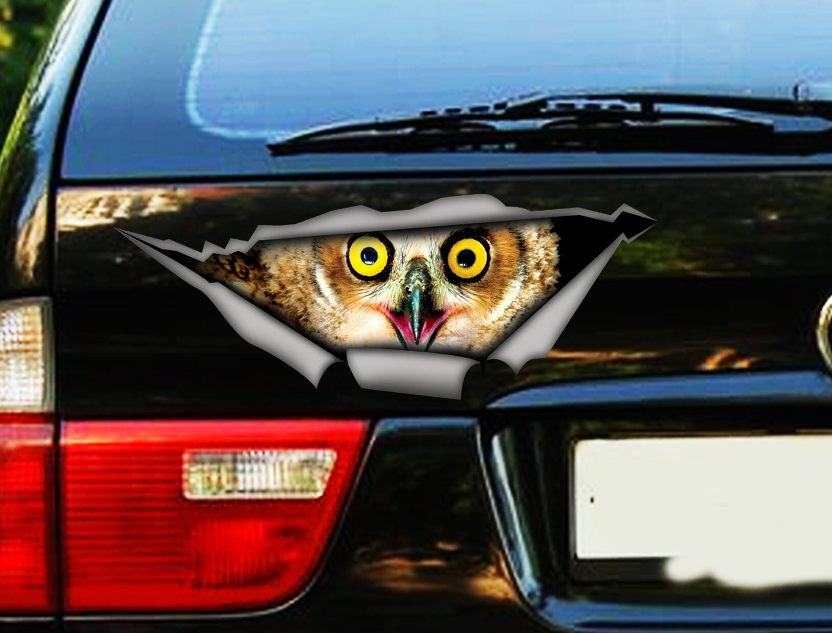 Owl sticker car decal Vinyl decal car decoration Owl | Etsy