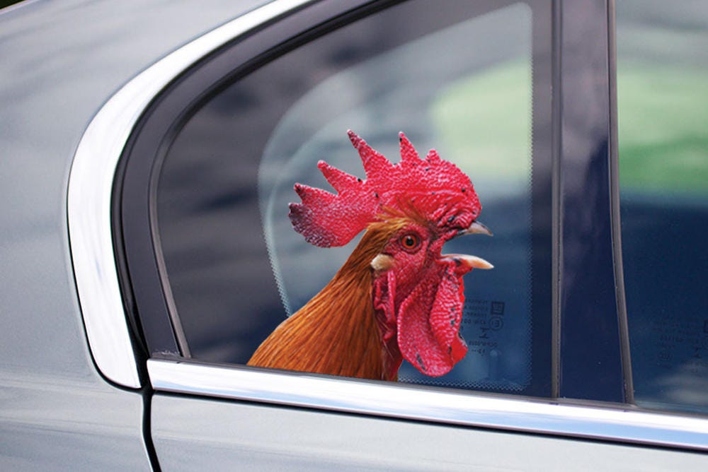 STICKER Rooster Window Sticker Car Sticker Rooster Car - Etsy
