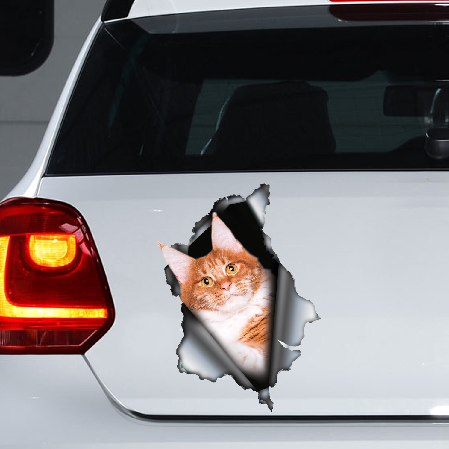 Red Maine Coon Car Decal Maine Coon Magnet Maine Coon Car - Etsy