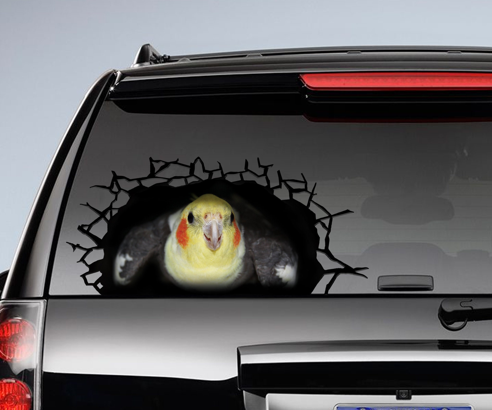 Cockatiel 3D Sticker Cracked Window Decal Funny Cockatiel - Etsy Canada