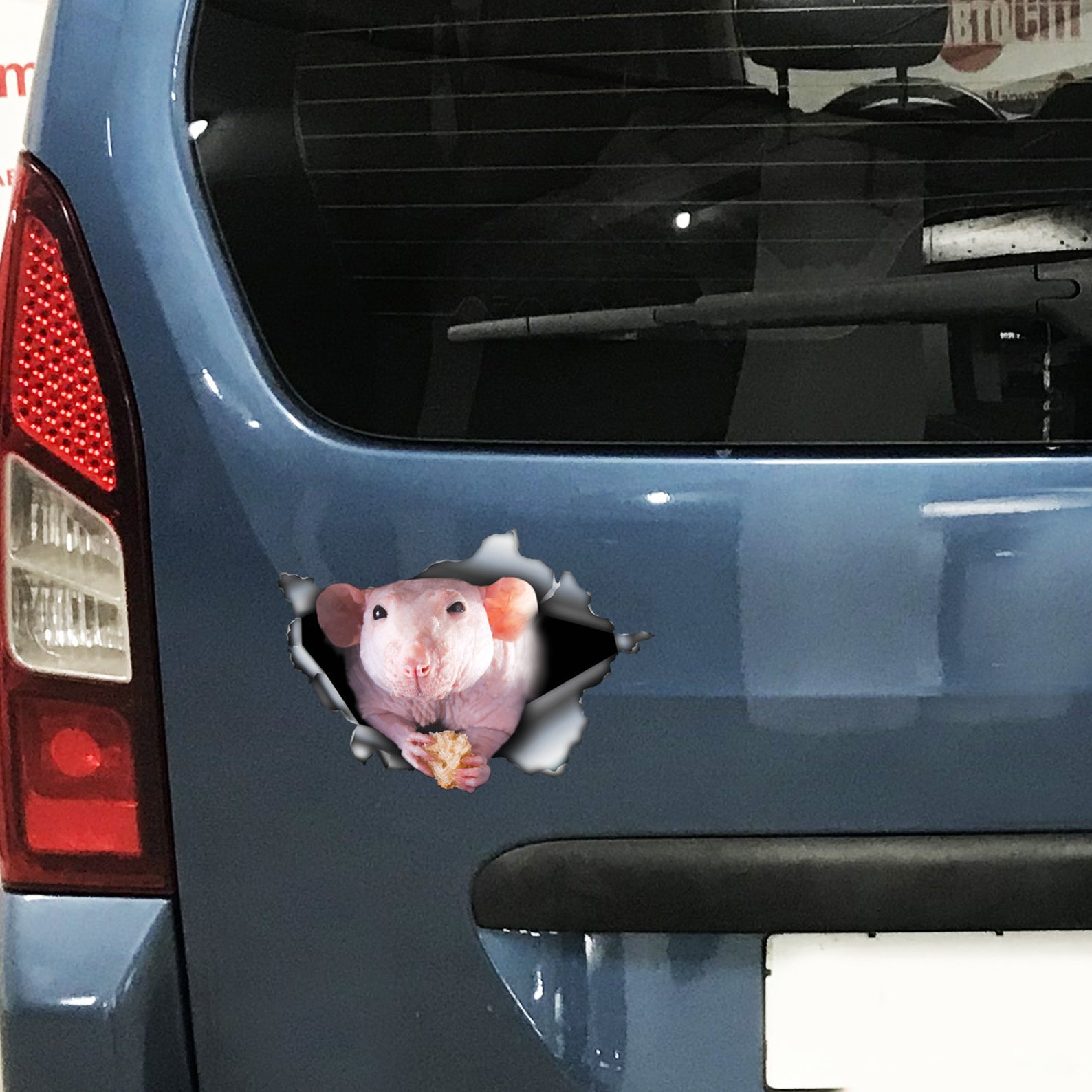 Hairless Rat Car Decal Hairless Rat Magnet Rat Car Sticker | Etsy