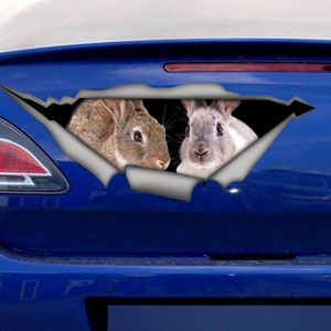 Rabbits Sticker, Bunny Car Decal, Vinyl Decal, Car Decoration, Pet ...
