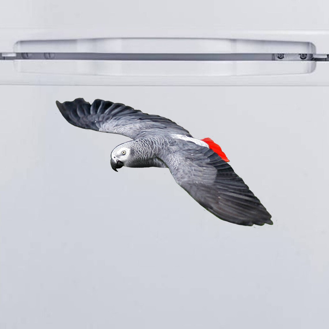 MAGNET African Grey Magnet 106x32 Inch Parrot Magnet - Etsy