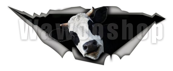 Cow car decal Vinyl decal car decoration farm decal cow | Etsy