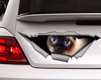 Siamese Cat Decal | Etsy