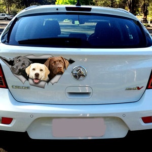 Lab Sticker, Golden Lab, Chocolate Lab, Black Lab, Labrador Car Decal ...