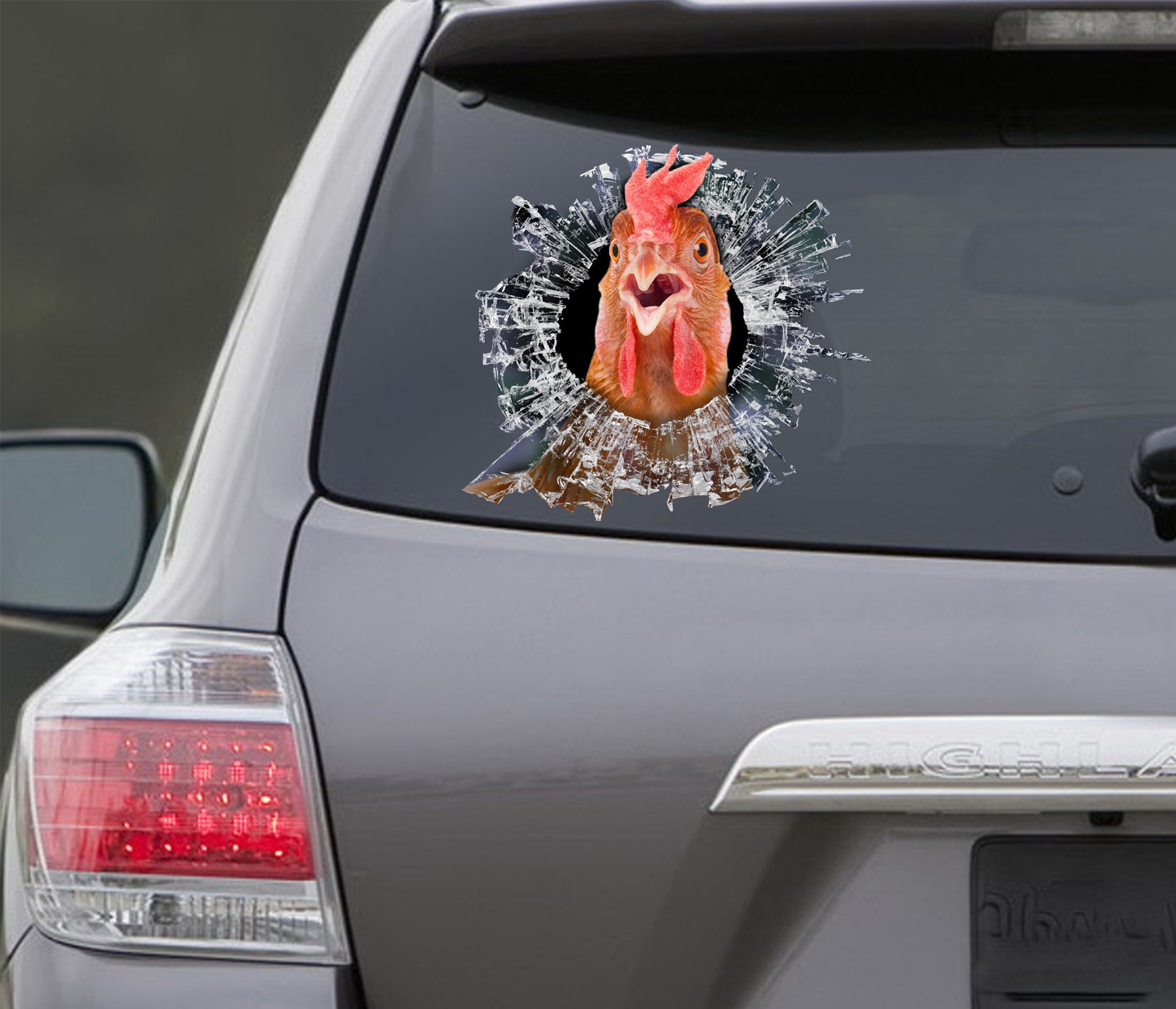 Chicken Window Decal, Chicken Car Decal, Funny Chicken Sticker - Etsy