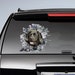 Black Lab Window Sticker, Labrador Sticker, Black Lab Car Decal - Etsy