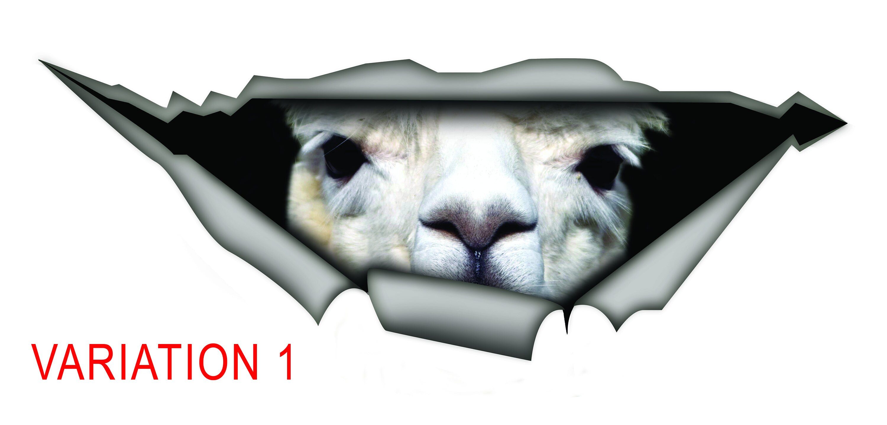 DECAL Lama Car Decal Lama Sticker 3D Decal - Etsy