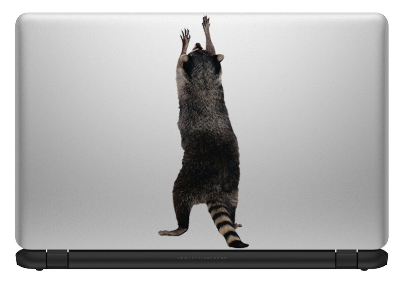 STICKER. Raccoon Window Sticker Animal Decal 3D Sticker | Etsy