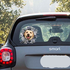 Yellow Lab Window Sticker, Car Sticker, Yellow Lab Car Decal - Etsy