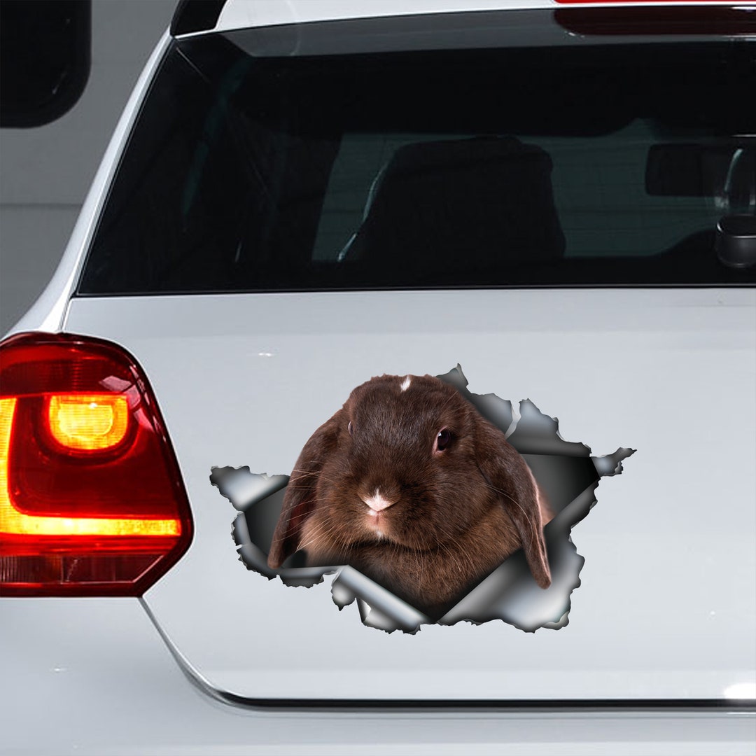 Brown Rabbit Car Decal, Rabbit Magnet,rabbit Car Sticker, Brown Dwarf ...