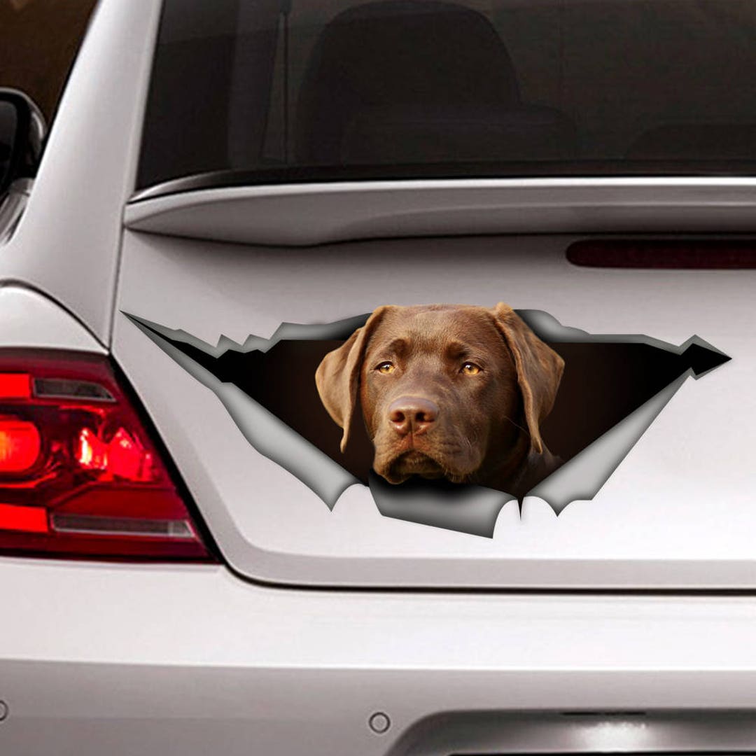 Сhocolate Labrador Decal, Сhocolate Labrador Magnet, Chocolate ...